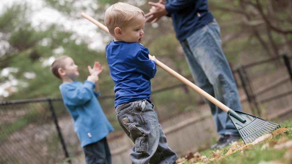 Our District – Union School District 81